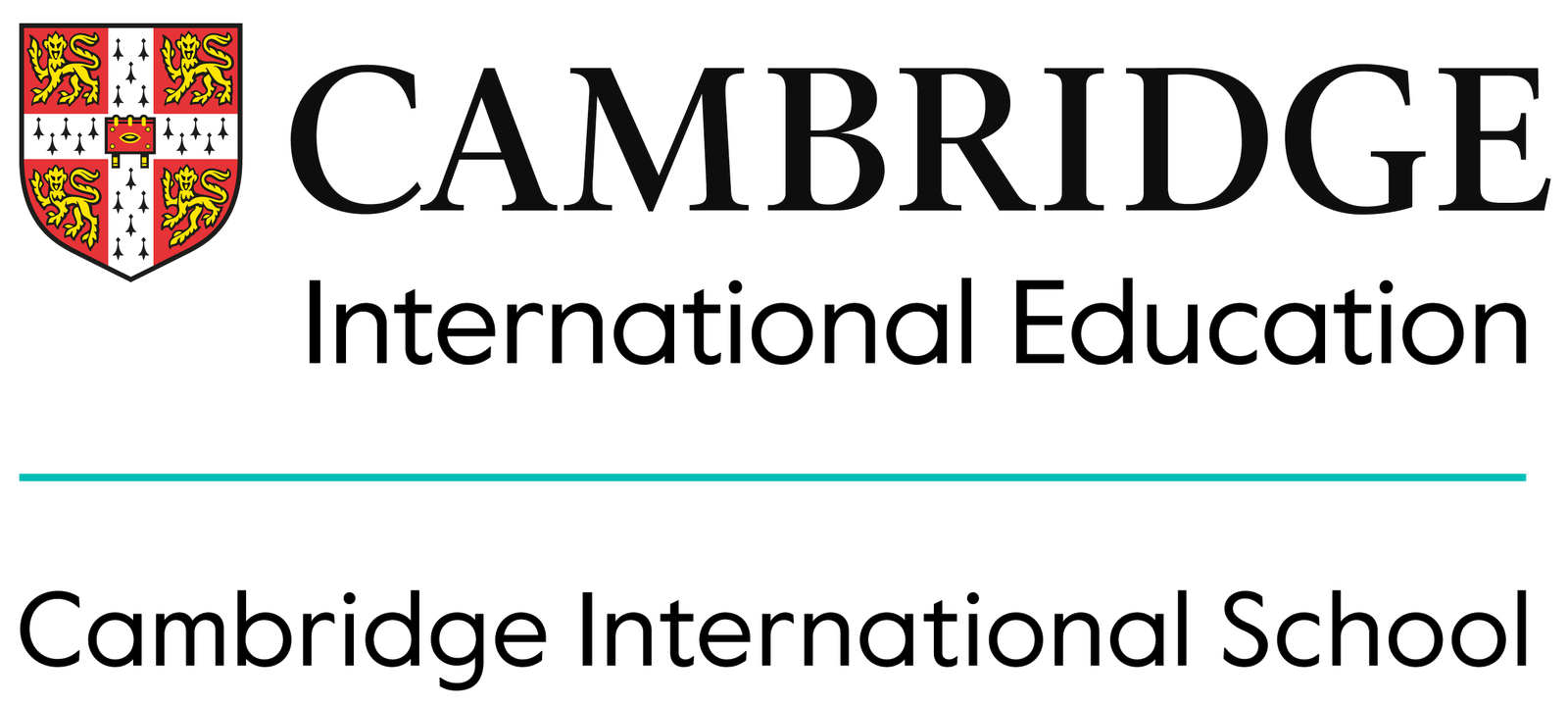 Cambridge International Examinations Logo Pakistan International